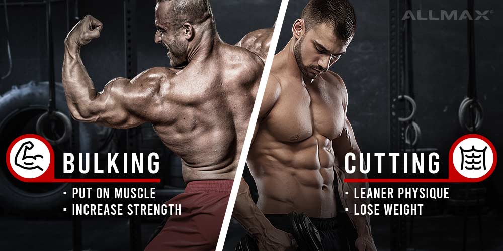 Bulking vs Cutting : Maximizing Your Training and Nutrition - Allmax ...